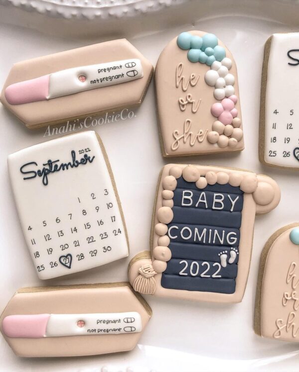 15+ Cute Pregnancy Announcement Cookies for Your Baby Reveal – My ...