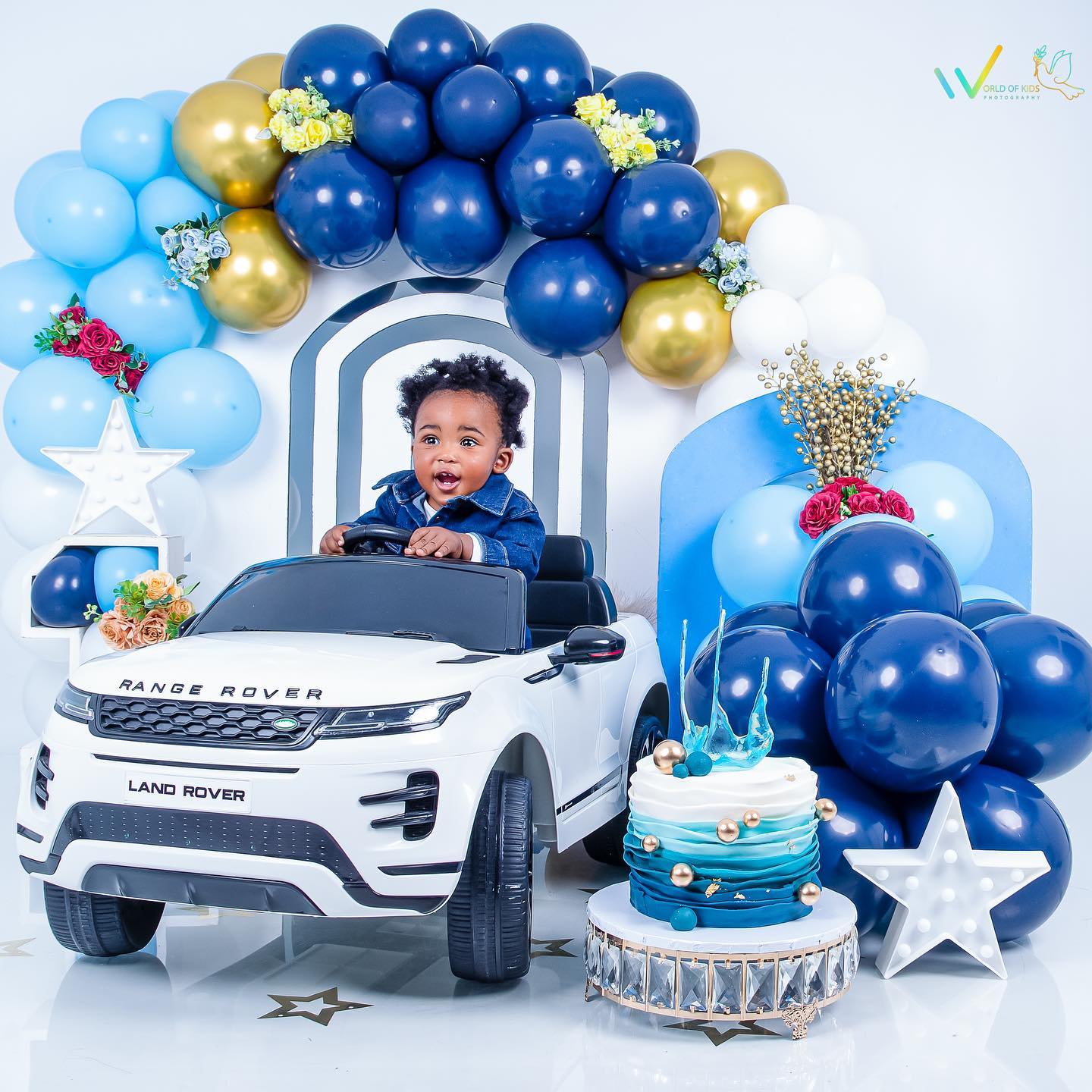 15 Cute First Birthday Photoshoot Ideas for Boys [Creative & Unique ...