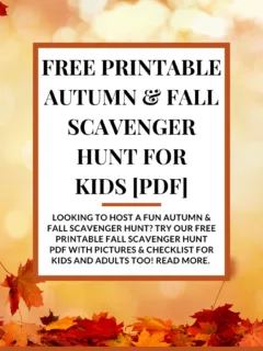 FREE Summer Scavenger Hunt Printable for Kids & Adults 2024